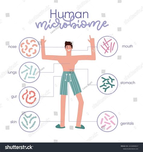 Different Types Human Microbiome Infographic Man Stock Vector Royalty