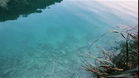 Unreal Engine 5 Realistic Water With Waterline Pro Youtube