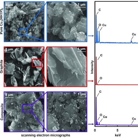 Scanning Electron Microscopy Sem Micrographs And Energy Dispersive