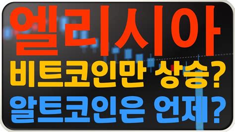 엘리시아 코인 비트코인만 상승 알트는 언제 상승하나 엘리시아코인목표가 엘리시아코인전망 엘리시아코인대응 엘리시아코인분석 Youtube