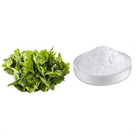 Andrographolide Powder At Best Price In Xian Shaanxi Xi`an Gaoyuan