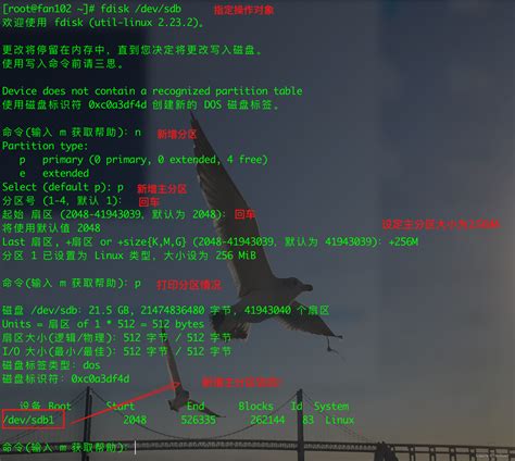 linux下磁盘分区、挂载实操 linux下 gpt分区操作 csdn博客