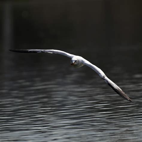 Yong Zhu Chen Fotografía
