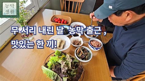텃밭 농막 무 서리 내린 날 농막 출근 맛있는 한 끼 Youtube