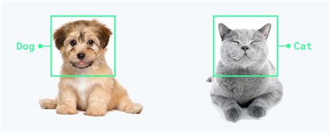 deep learning image segmentation and localization — u net architecture