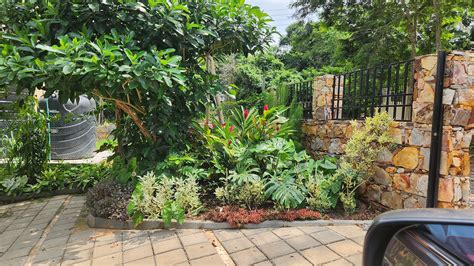 The Hyde Kitase Tortoisepath