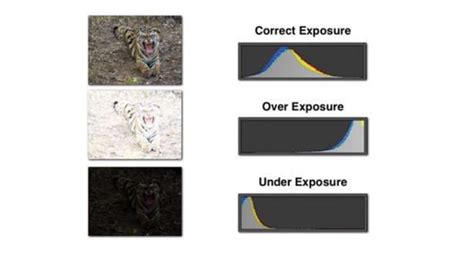 Dinamic Range Ppt
