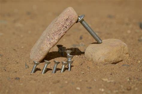 Pass Quickly Stock Image Image Of Bolts Vegetation 65558863