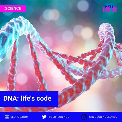 Sed Science Education Posted On Linkedin Sed Science Education Posted On Linkedin