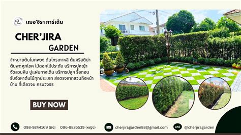 สวนมะม่วงคุณย่า เตรียมพับกบ แฮร่ พบกับ 😜😂 สวนมะม่วงคุณย่า🥭 เร็วๆนี้ อดใจรออีกนิดได้ทาน