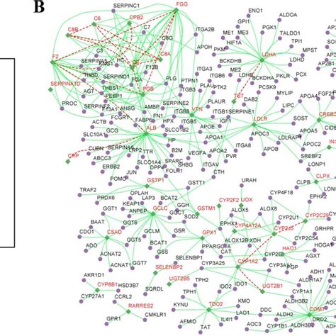 network entropy based analysis of liver ageing network a boxplot