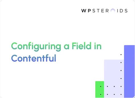 Configure A Field In Contentful CMS In Minutes WPSteroids Com