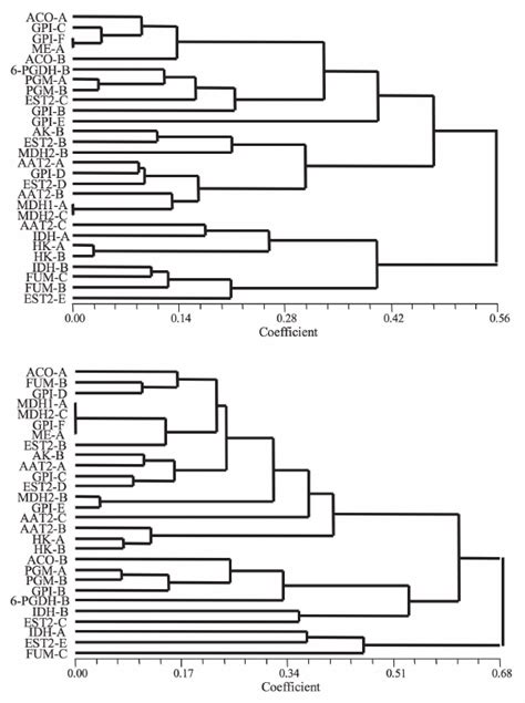 Dendrogramas Generados Con El Algoritmo Upgma A Partir De Las Matrices Download Scientific