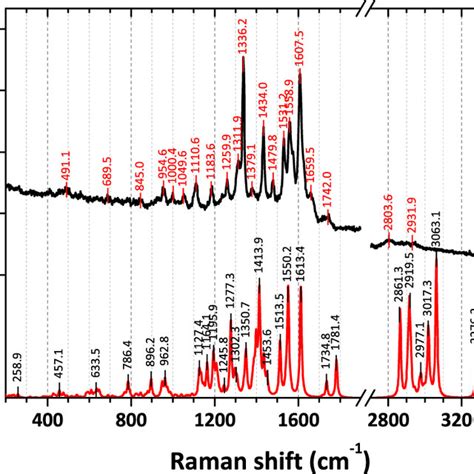 Sers Spectrum Of Dsred Dehydrated Protein Layer Deposited From Solution