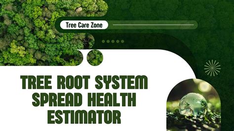 Tree Root System Spread Health Estimator Tool