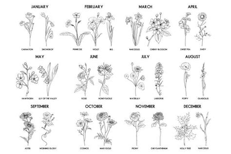 258 700 Flowers Outline Drawing Stock Illustrations Royalty Free