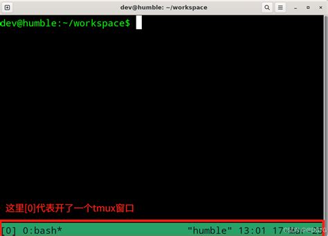 tmux 和nano 常用快捷键操作记录 tmux分屏快捷键 csdn博客