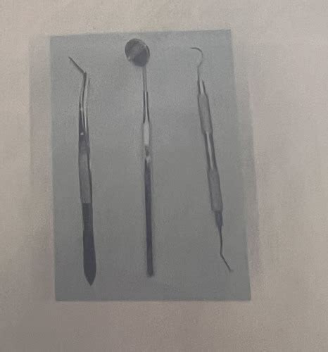 Tray Setup Flashcards Quizlet