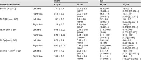 Morphological Parameters Resulting From Ex Vivo Scans With Two Download Table
