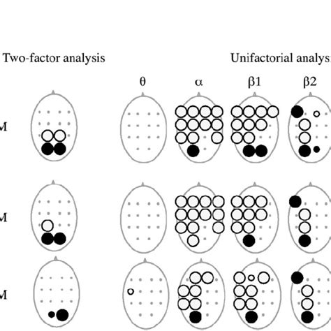 Diagrams Showing Differences Between Eeg Spectral Characteristics