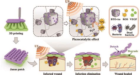 Schemes Of The Fabrication And Application Of The Janus Patch The