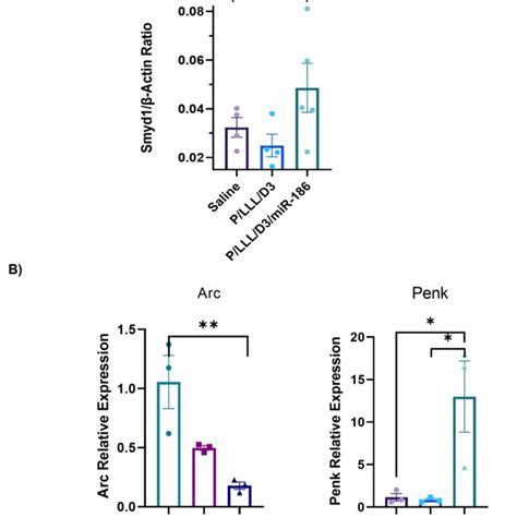 western blot and real time pcr validation of rna seq results obtained