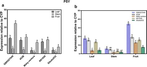 Gene Expression Analysis Of Psy In Leaf Stem And Fruit Of M