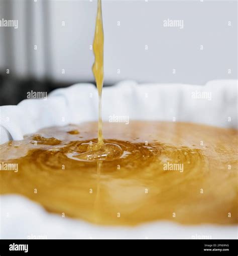 Honey Drip Investments At Samuel Truelove Blog