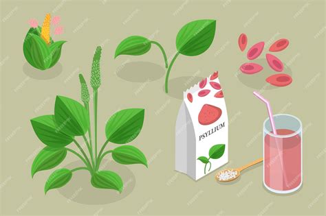 Premium Vector 3d Isometric Flat Vector Conceptual Illustration Of