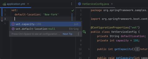 IntelliJ IDEA EAP LSP API Support Redoc UI Previews GRPC Requests Via TLS And