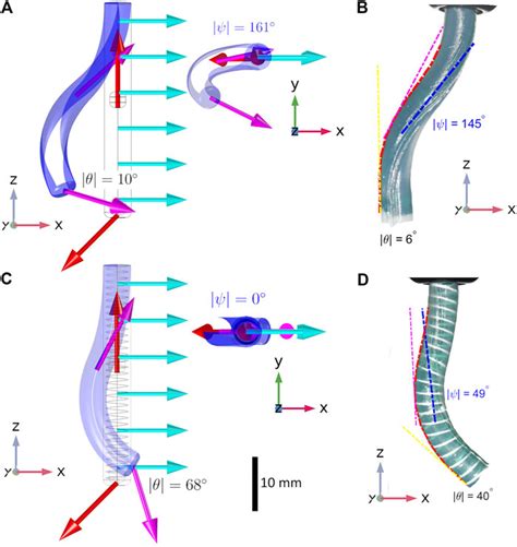 Publication Feasibility Of Fiber Reinforcement Within Magnetically Actuated Soft Continuum