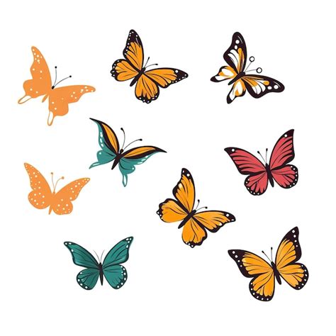 Premium Photo A Set Of Different Types Of Butterflies
