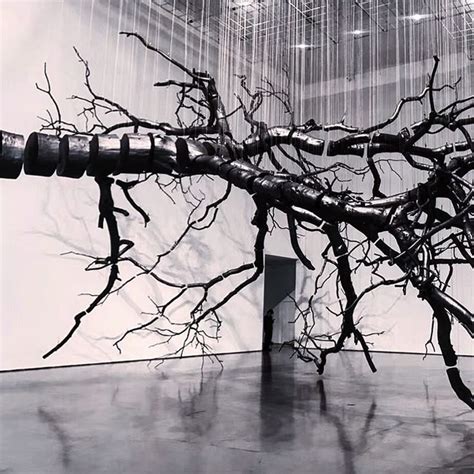 Tree Installation Treeinstallation Natural Nature Exhibition Inspiration Texture