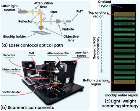 Figure From A Barcode Array Biochip Sensor Analysis System Based On Geometry Guide Learning