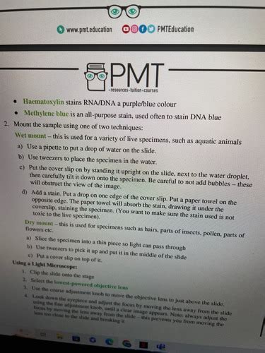 Staining Flashcards Quizlet