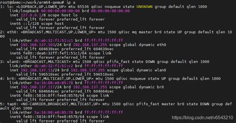 Qemu使用tap网卡连接网络qemu Tap Csdn博客