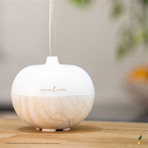 Aromaglobe Ultrasonic Wireless Diffuser Lazada Ph
