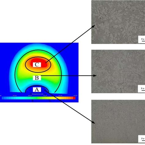 Temperature Distribution And Microstructure At Different Areas 200x Download Scientific Diagram