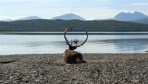 Clocks Sex And Death In The Arctic