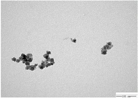 Preparation Method And Product Of Superparamagnetism Nano Particles Eureka Patsnap
