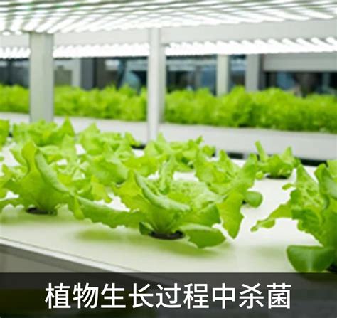 植物组培实验过程中的消毒杀菌 知乎