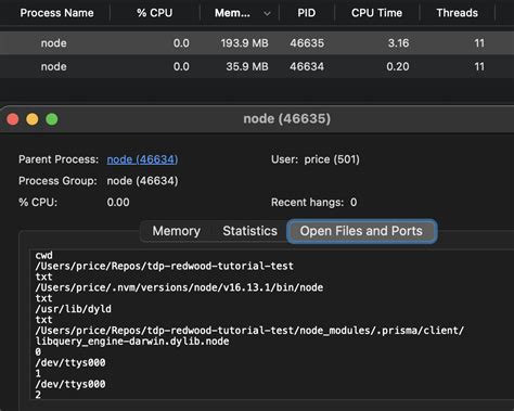 `rw deploy render api` command results in 2x running processes and