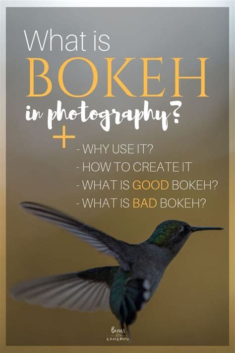 A simple explanation of Bokeh in Photography | Why use Bokeh? | How to Create Bokeh … | Digital ...