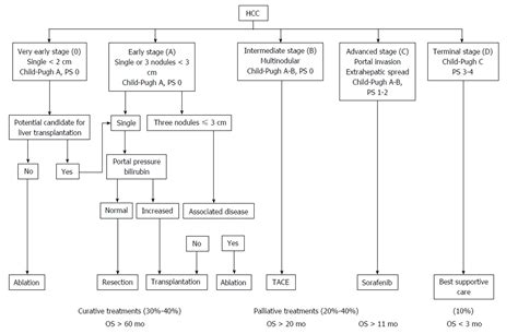 Afp Level Chart Liver Cancer Ponasa
