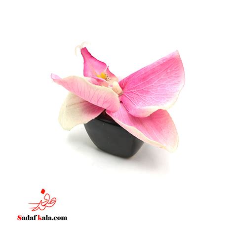 گل کوچک صدف کالا فروشگاه بزرگ صدف