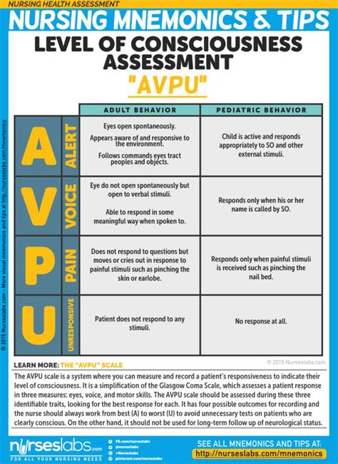 Nha 001 Level Of Consciousness Assessment Avpu Nursing Mnemonics And Tips With Images