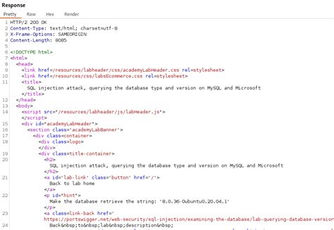 Sql Injection Attack Querying The Database Type And Version On Mysql And Microsoft