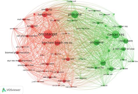 Frontiers Knowledge Atlas And Emerging Trends On Ncrnas Of