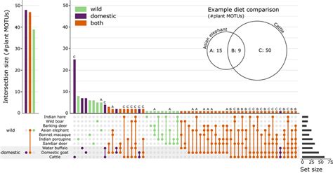Upset Plot Visualizing Intersecting Sets Of The Two Herbivore Groups