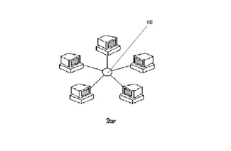 E Commerce Basic Network Topologies Bus Star And Ring
